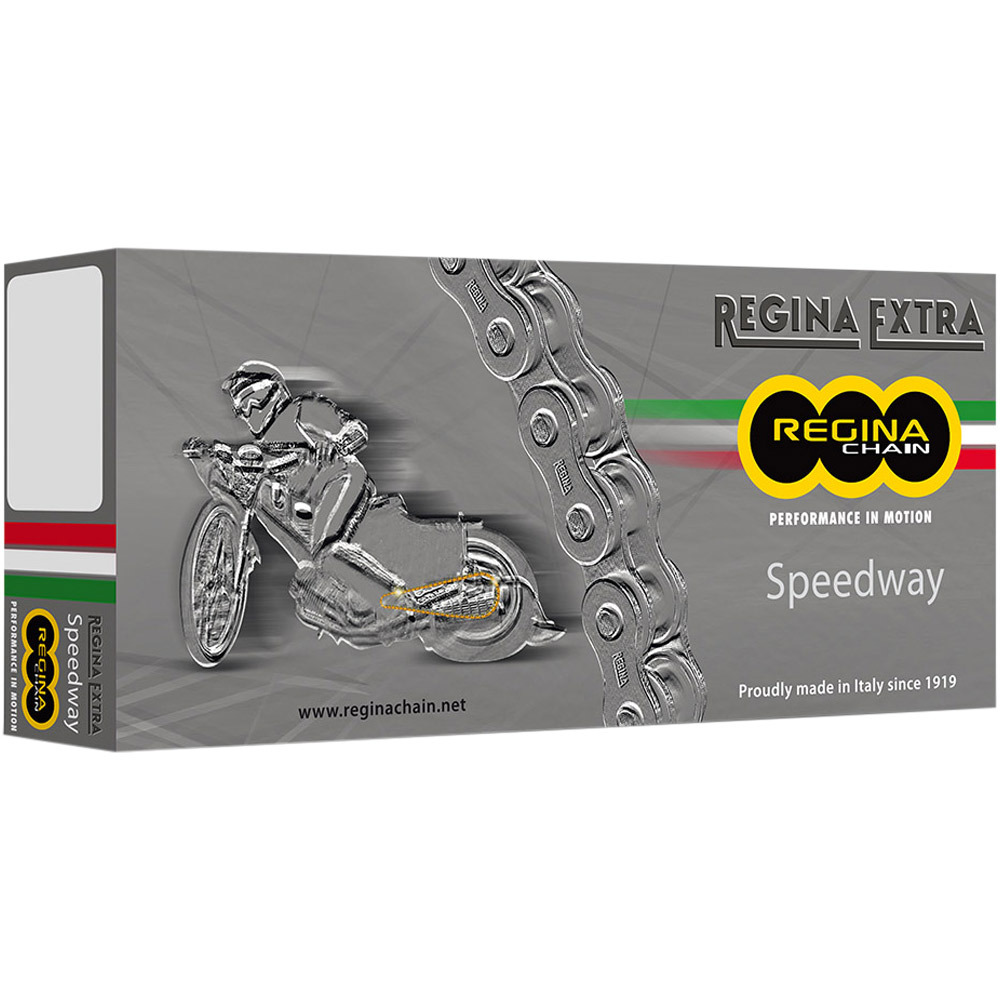 Regina Chain 520 EBSORO Speedway Specialty Series 96L Gold Chain at MXstore